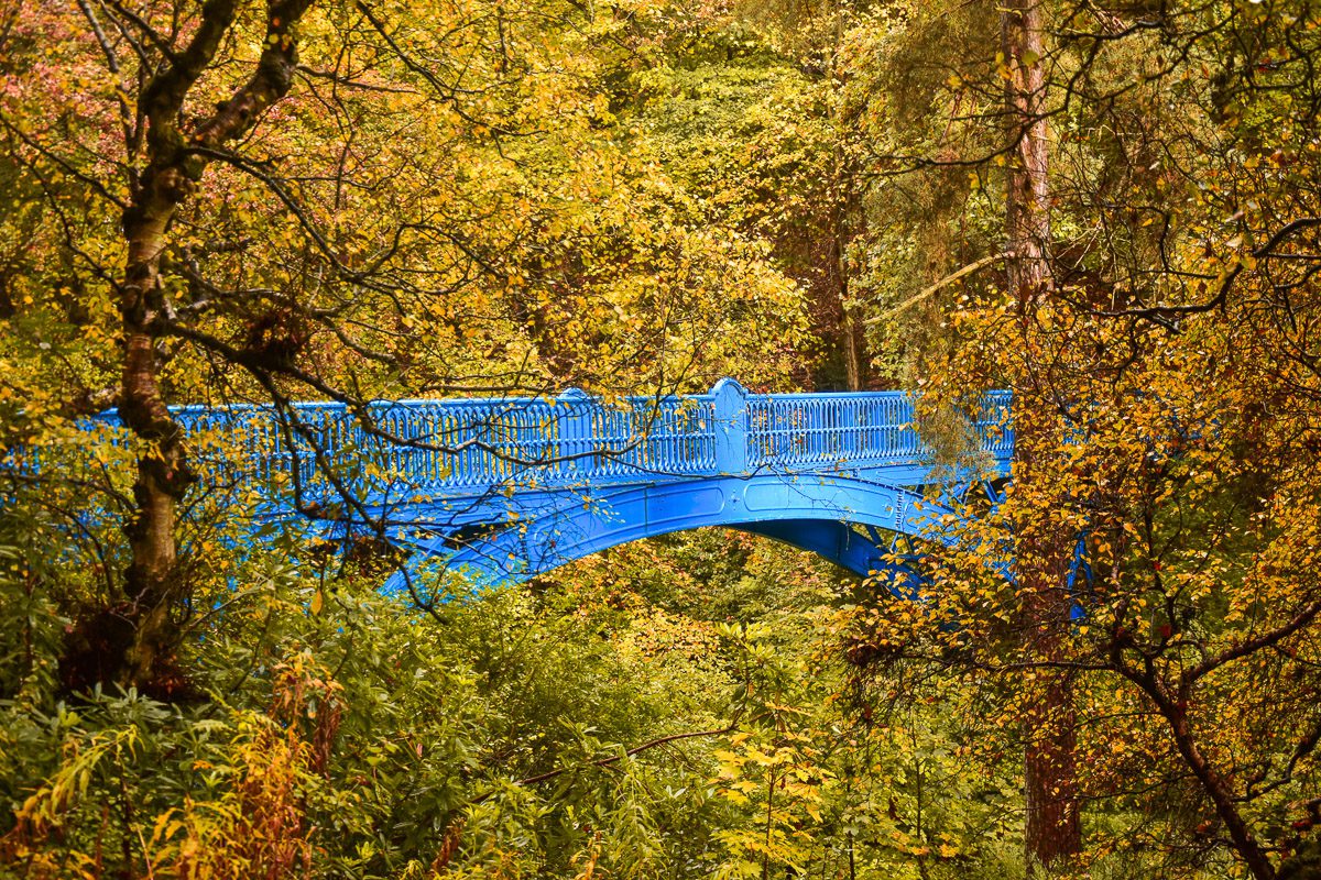 A collection of pictures showcasing the rich culture and natural beauty ...